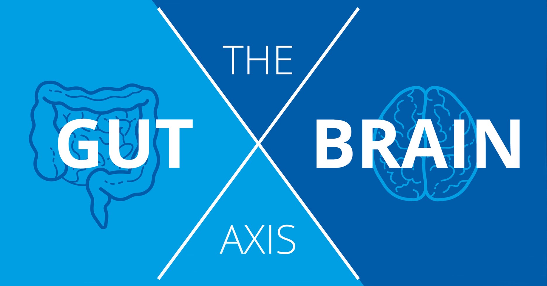 Gut-Brain Axis and Probiotics | Probiotics Learning Lab